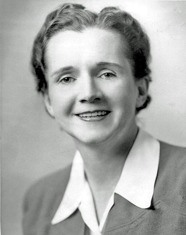 KW 22/2013: Rachel Carson, 27. Mai 1907 – frauenfiguren