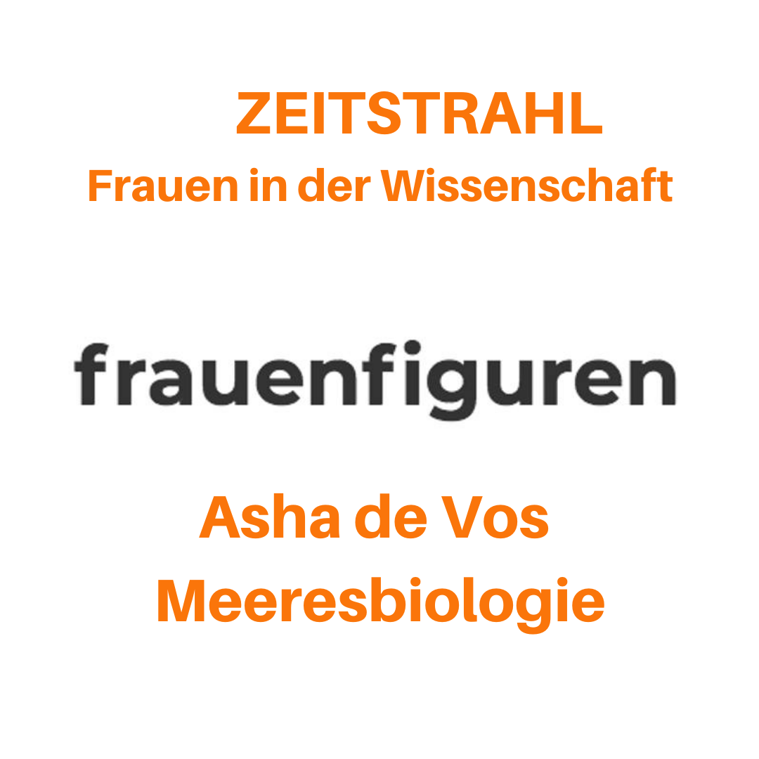 Marlyn Meltzer – frauenfiguren